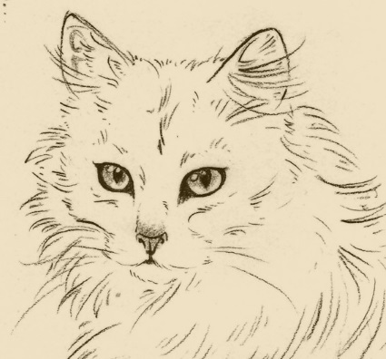 Chapter 10 – Machine Sliced Bread