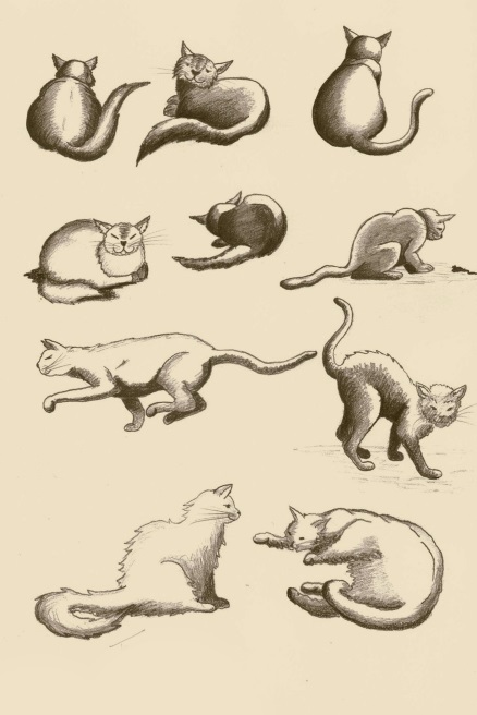 Chapter 10 – Machine Sliced Bread